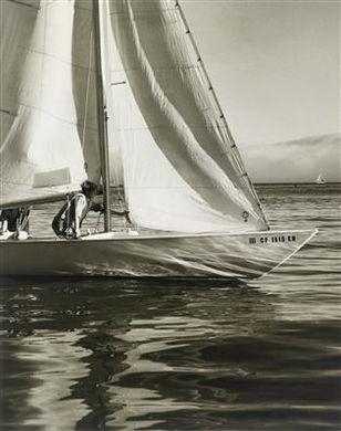 Lee Cameron | 3 Artworks | MutualArt