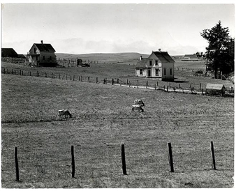 Edward Weston | FALSE-FRONT HOUSE, ALBION CALIFORNIA | MutualArt