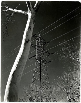 Edward Weston | FALSE-FRONT HOUSE, ALBION CALIFORNIA | MutualArt