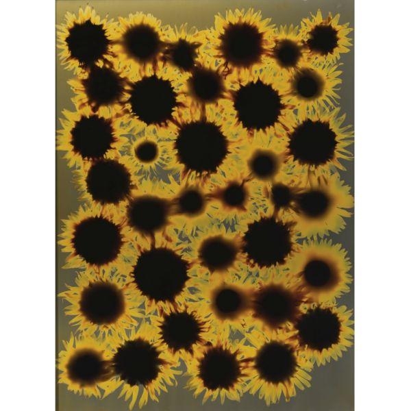 Adam Fuss | Untitled (Large Flowers, Plants) (1994) | MutualArt