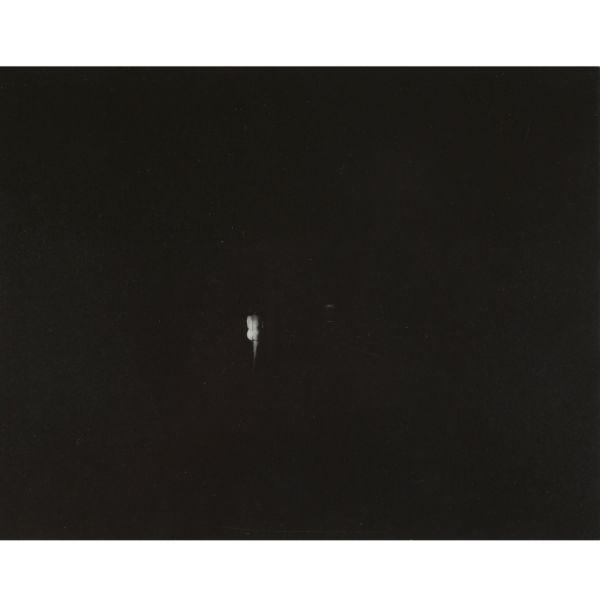 Harry Callahan | ELEANOR (TREES IN FOREGROUND) (1950s - 1960s) | MutualArt