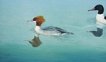 Raymond Harris Ching | Elder Duck | MutualArt