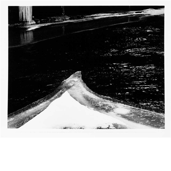 Minor White | Stony Brook State Park, New York, 1960 | MutualArt