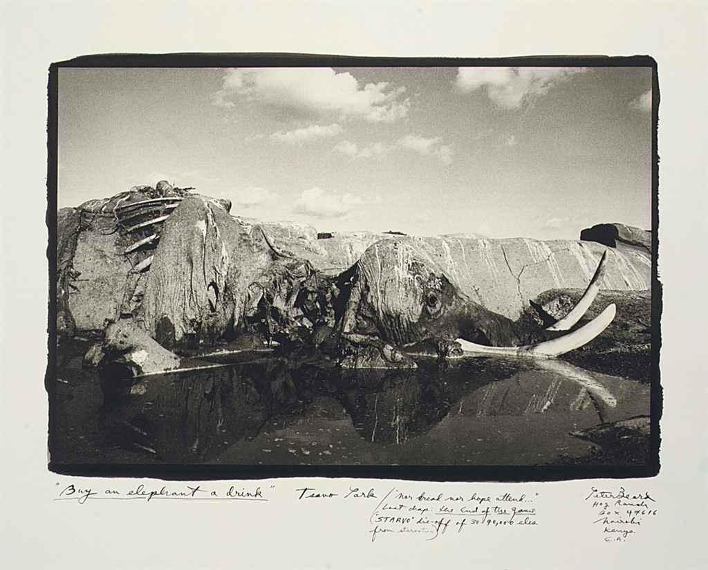 Peter Beard | Buy an Elephant a Drink, Tsavo Park, Athi River, Kenya ...