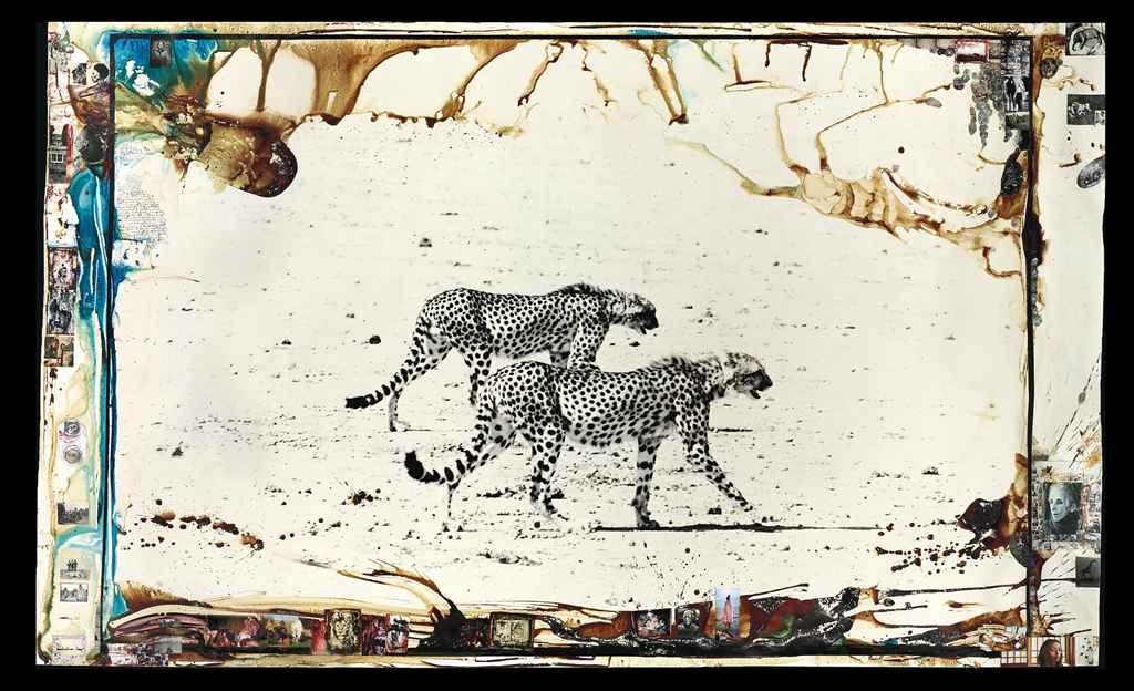Peter Beard | Hunting Cheetahs on the Tarn Desert (1960s - 1990s ...