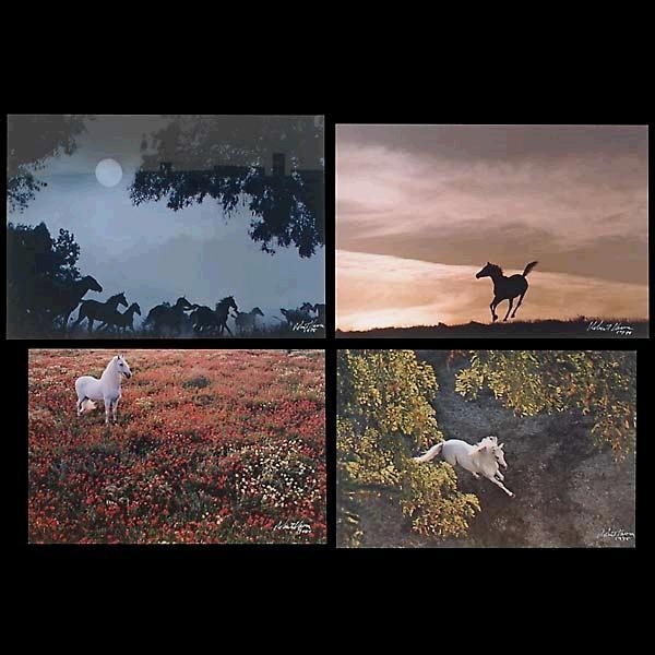 Robert Vavra | 4 Works: Free as the Wind; In the Meadow; Thunder by ...
