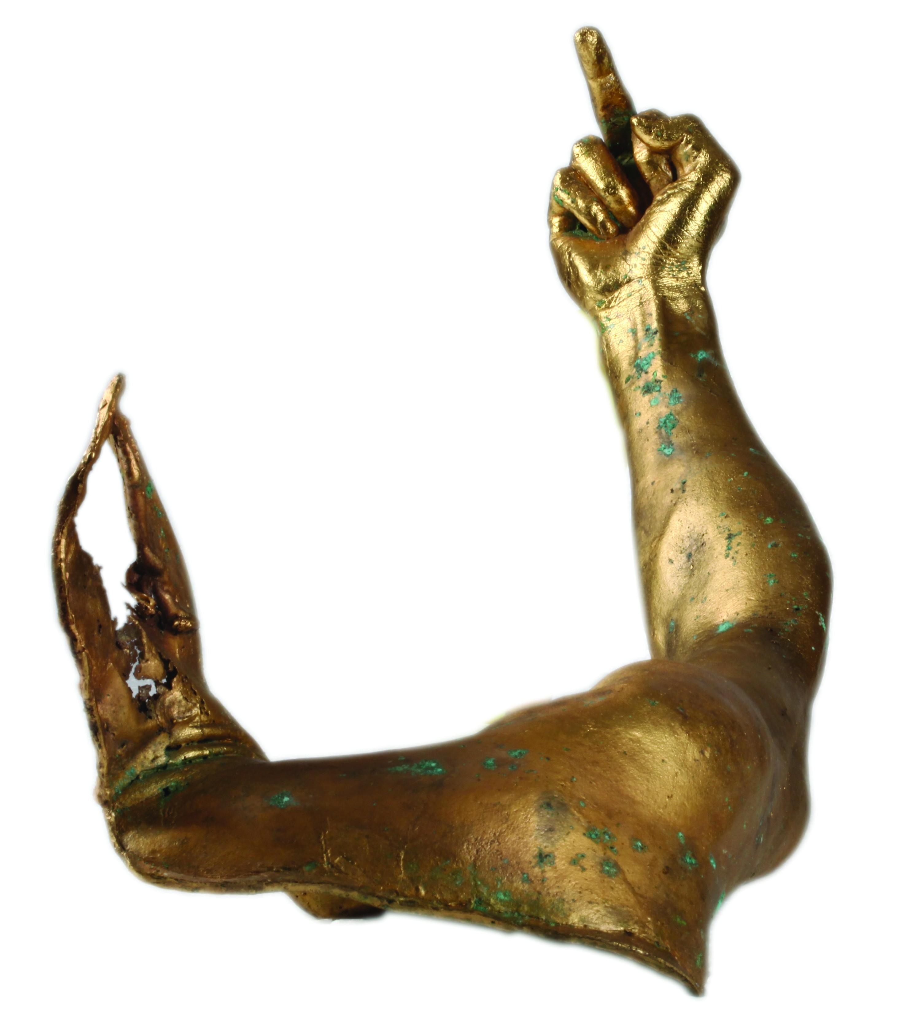 Ai Weiwei | Middle Finger | MutualArt