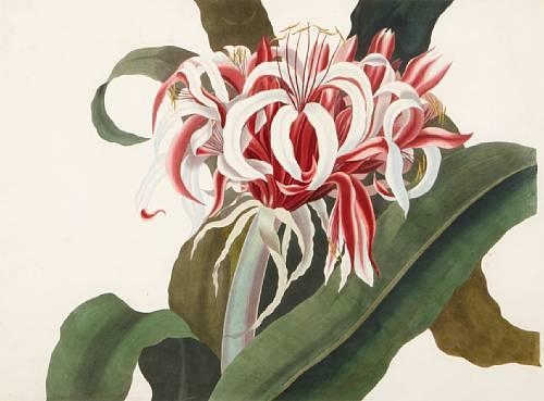 Priscilla Susan Bury | Performance at Auction | MutualArt