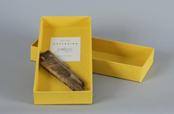 Roman Signer | Explosion (1993) | MutualArt