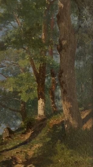 Stefano Bruzzi | Alberi nel bosco | MutualArt