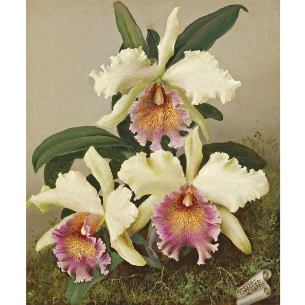 Lev Tchistovsky | Orchids | MutualArt
