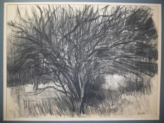 Peter Coker | Tree I | MutualArt