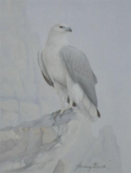 Jeremy Boot | Sea Eagle | MutualArt