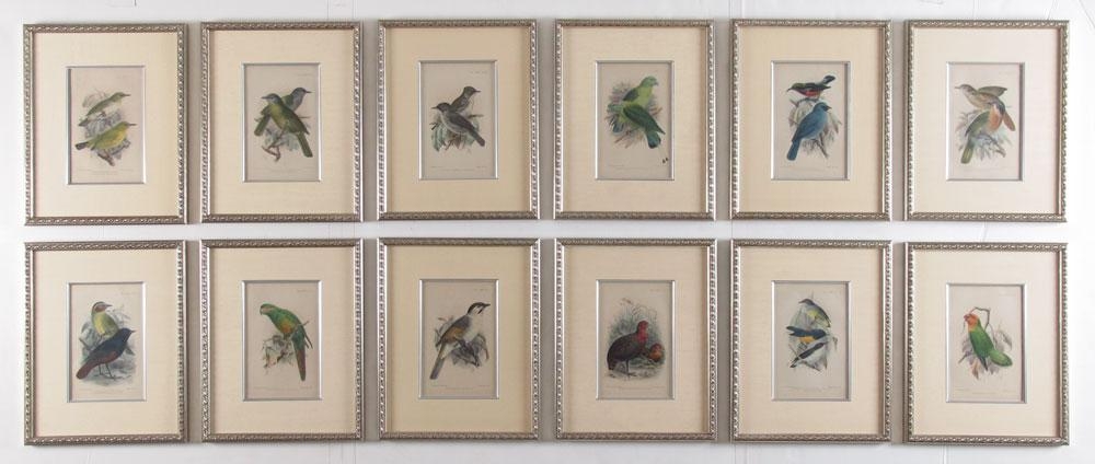 Johannes Gerardus Keulemans | 12 works: Orinthological bird prints ...