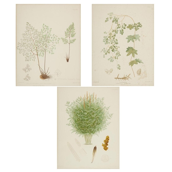 James Henry Emerton | 2 Artworks | MutualArt