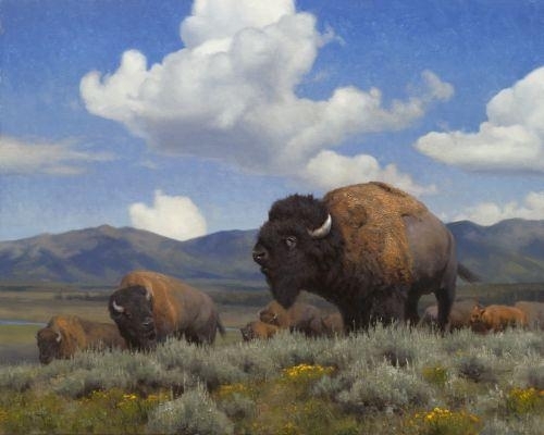 Kyle Sims | The Great Wide Open (2011) | MutualArt