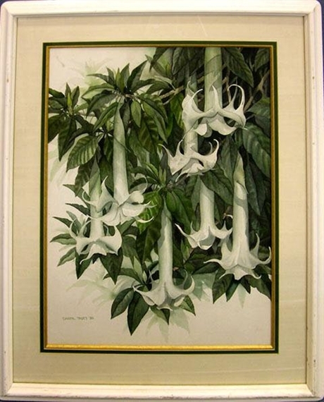 Darryl Trott | 85 Artworks | MutualArt