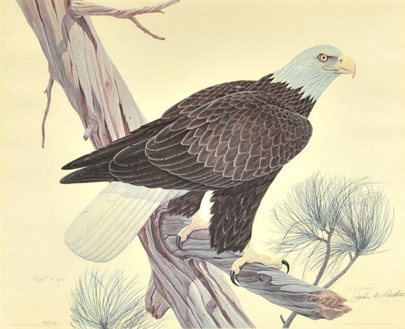 John Ruthven | 129 Artworks at Auction | MutualArt