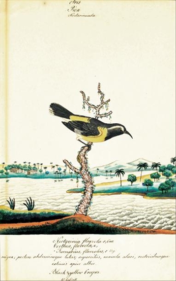 William Goodall | 8 Artworks at Auction | MutualArt