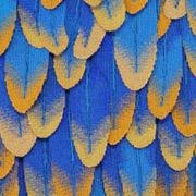 Richard Mafong | 3 Artworks at Auction | MutualArt