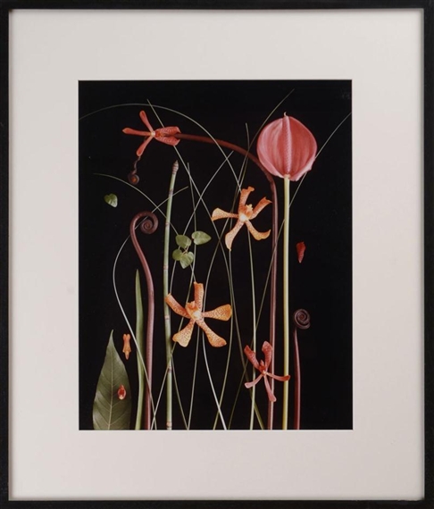 Barbara Jaffe | 3 Artworks at Auction | MutualArt