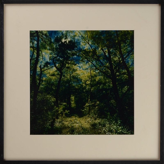 Jan Staller | Performance at Auction | MutualArt