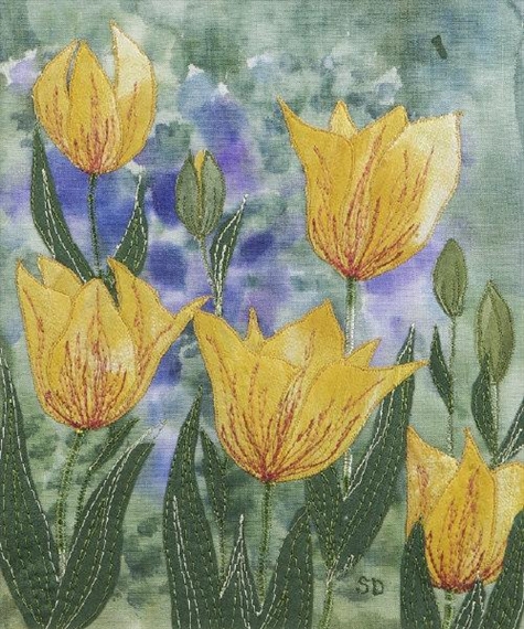 Siobhan Dillon | Biography