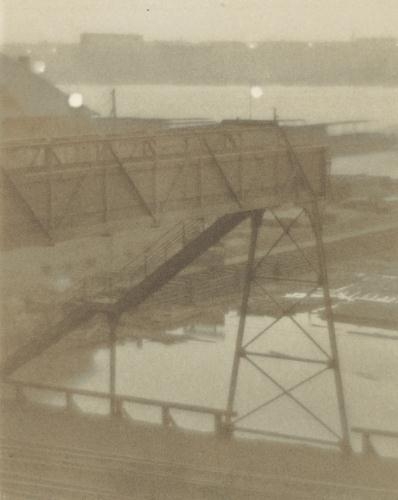 Paul Outerbridge | Still Life with Silk Flowers (1926) | MutualArt