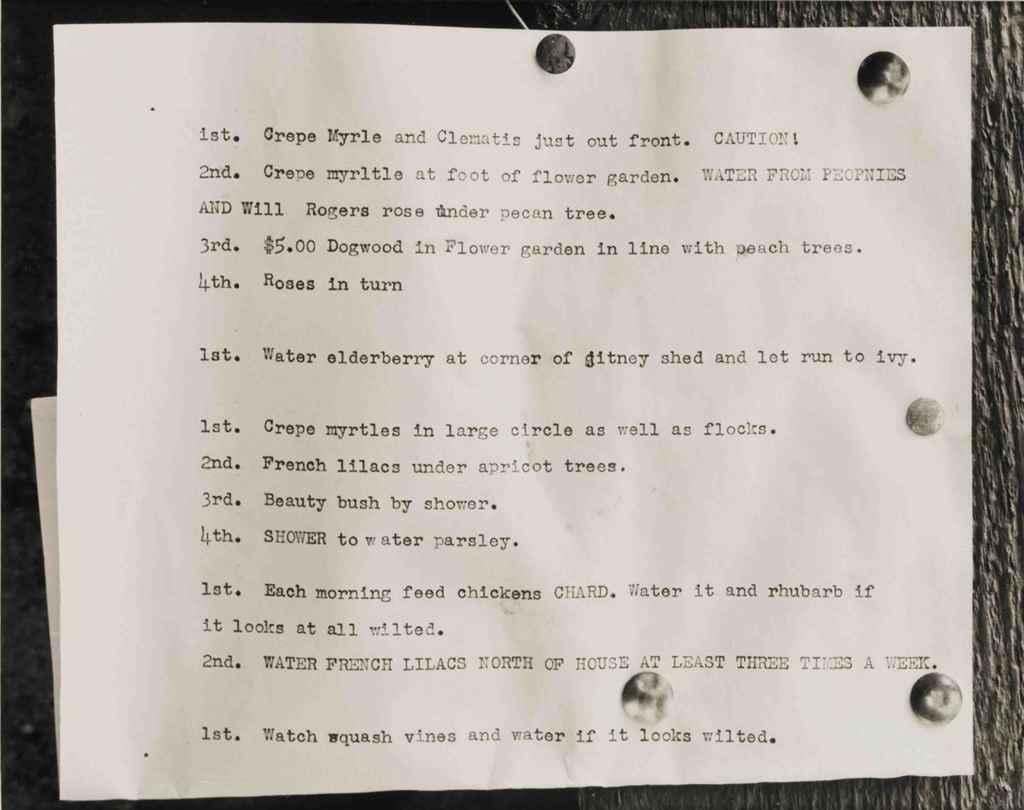 Dorothea Lange | Adele Boke, 1951 (1951) | MutualArt