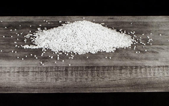 Liset Castillo | 2 Artworks at Auction | MutualArt