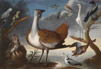 Pietro Neri Scacciati | Exotic birds, two parrots, ducks, an owl, a ...