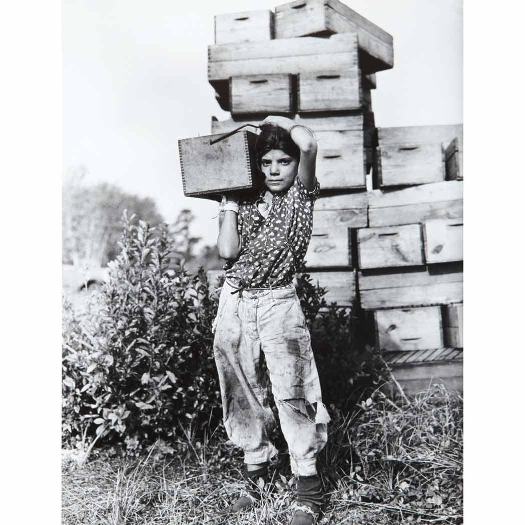 Arthur Rothstein | Group of nine images | MutualArt