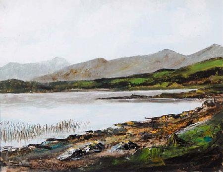 Seamus Coleman | Lough Fada | MutualArt