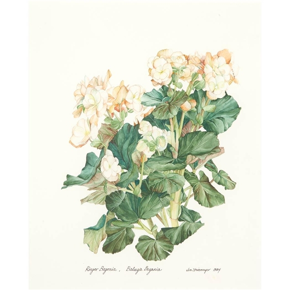 James M. Steinmeyer | 27 Artworks at Auction | MutualArt