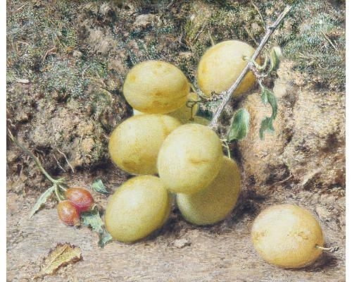 William Henry Hunt | Magnum Bonum plums | MutualArt
