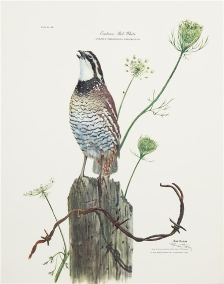 Ray Harm | 125 Artworks at Auction | MutualArt