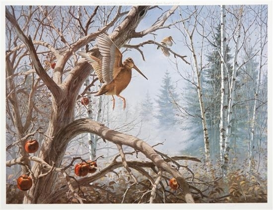 David Maass | Abandoned Orchard Woodcock | MutualArt