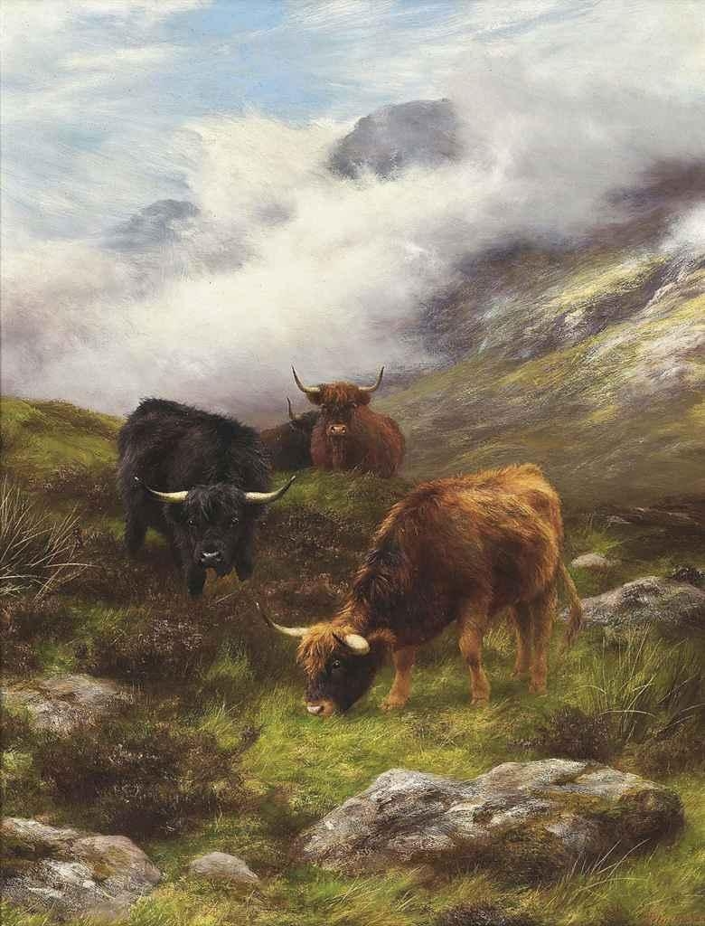 Peter Graham | Highland cattle grazing on a mist covered hillside (1900 ...