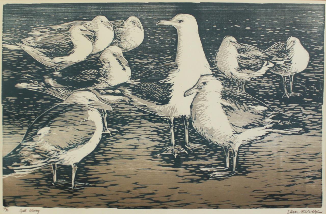 Sam Black | gull colony | MutualArt
