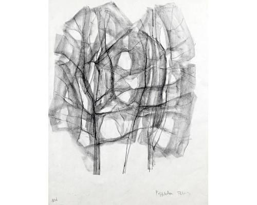 Austin Wright | Poppleton (1971) | MutualArt