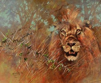 Kobus Moller | 35 Artworks at Auction | MutualArt