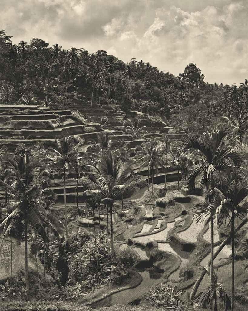 Russel Wong | Bali Rice Plantations (2007) | MutualArt