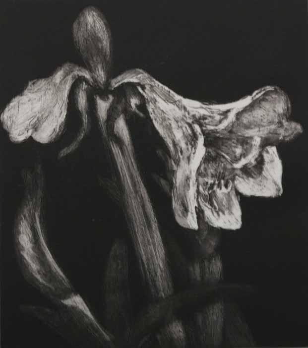 Nicholas Harding | Untitled | MutualArt