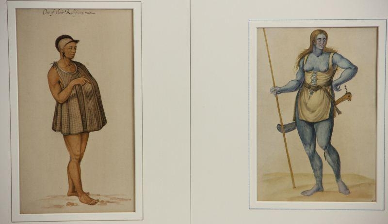 Unknown | Two Works : from the American Drawings of John White | MutualArt