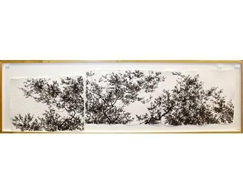 Georgia Marsh | Field Elm | MutualArt