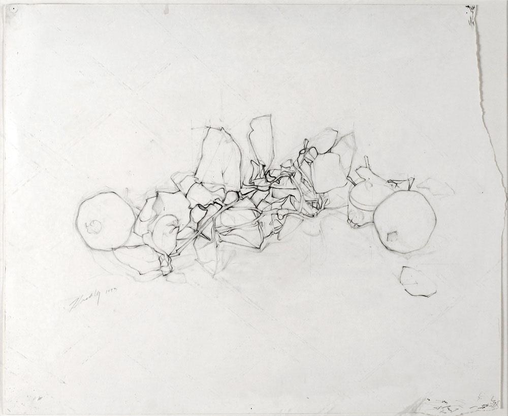 Israel Hershberg | Pomegranate (1993) | MutualArt