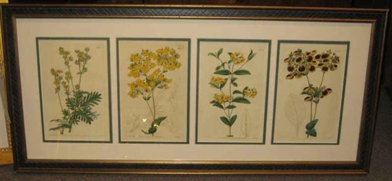 Syd Edwards | Sixteen botanical engravings (1832) | MutualArt