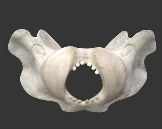 Inuit School, 20th century | A spirit head with inset teeth (1999 ...
