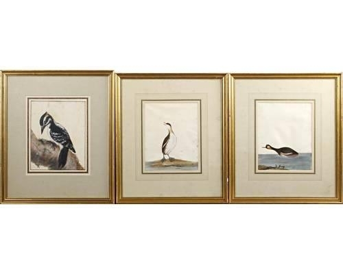 William Lewin | 22 Artworks | MutualArt