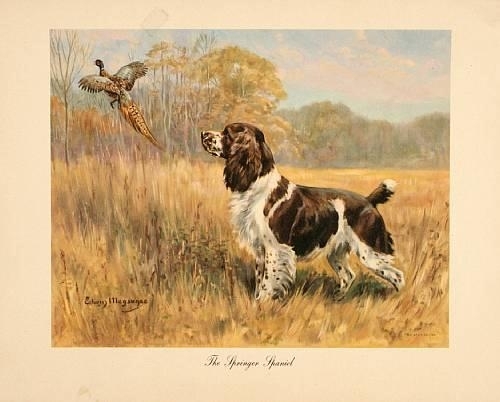 Edwin Megargee | 6 works: Gun Dogs at Work | MutualArt